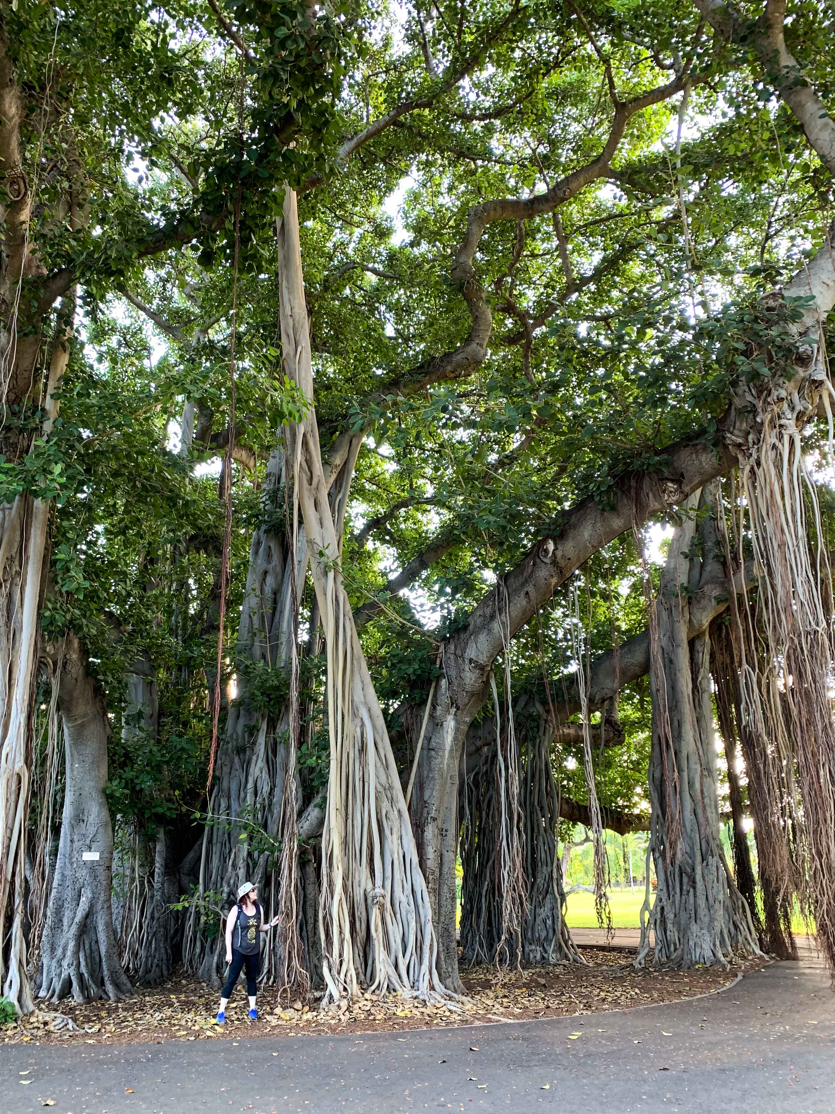 PMP Travels: Hawaii (Part 1 - Oahu) - Project Meal Plan